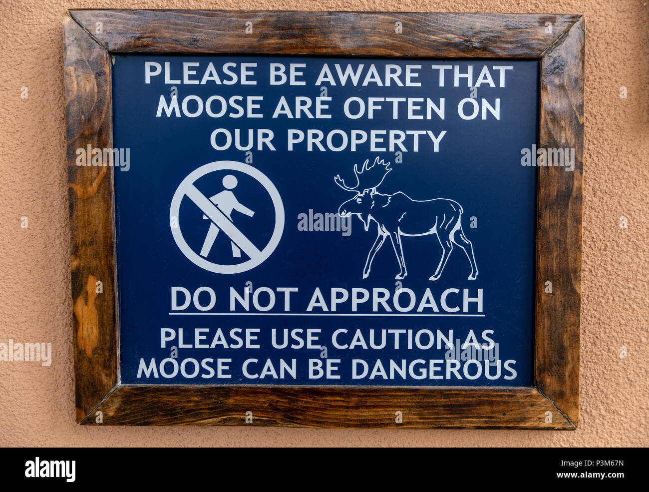Danger of Moose Sign Stock Photo - Alamy
