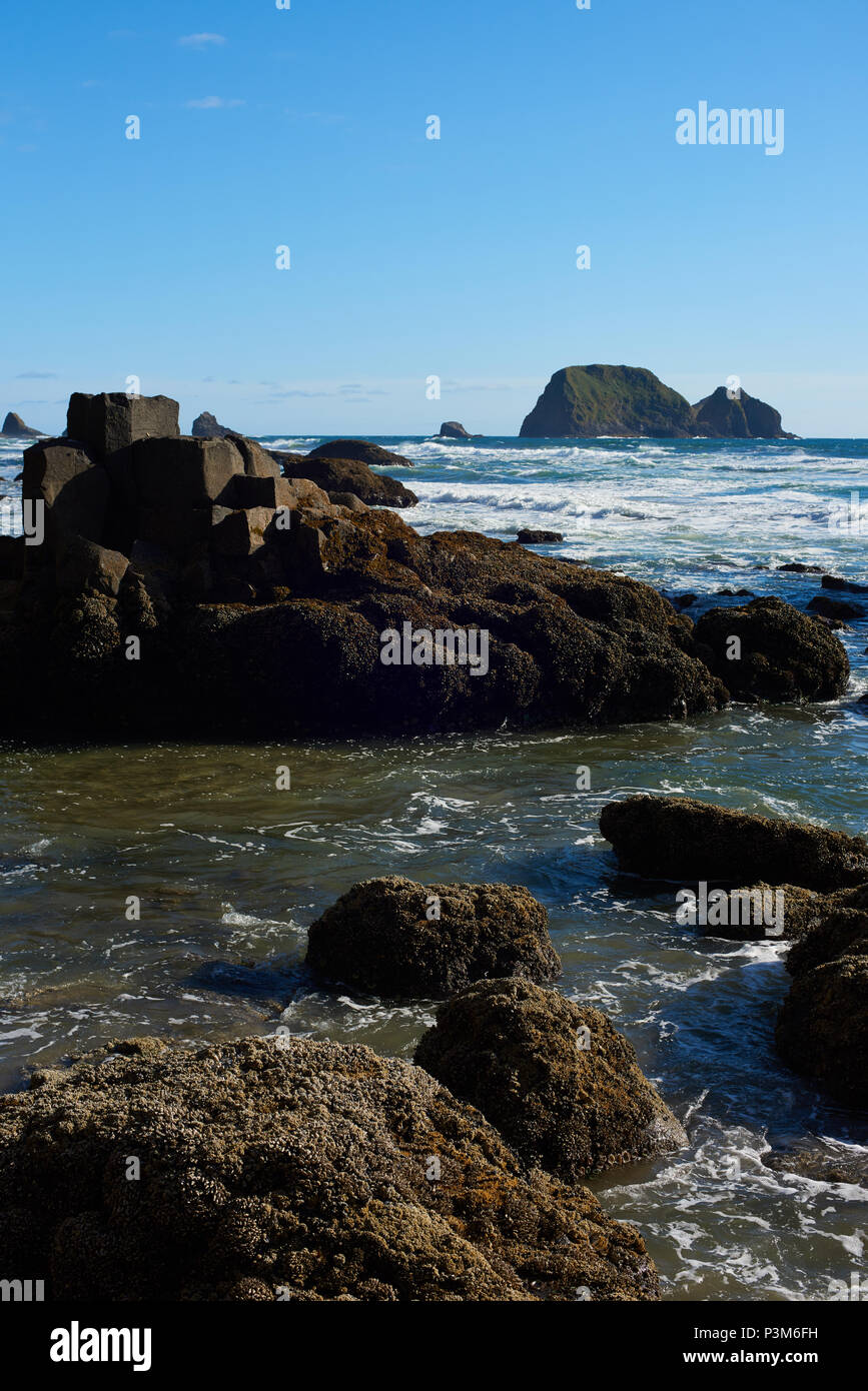 Barnacle encrusted rocks hi-res stock photography and images - Alamy