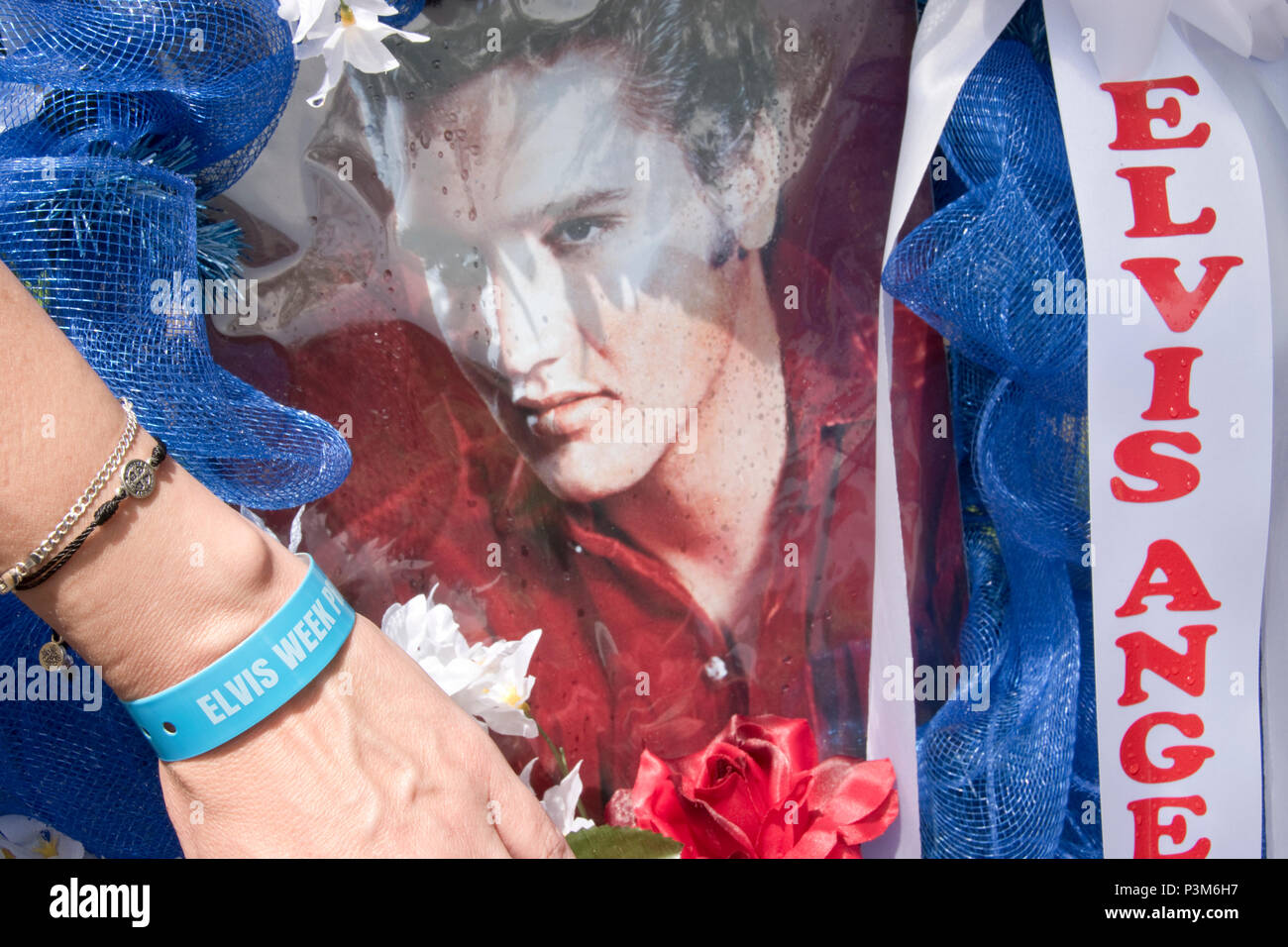 Elvis Flowers's Instagram, Twitter & Facebook on IDCrawl