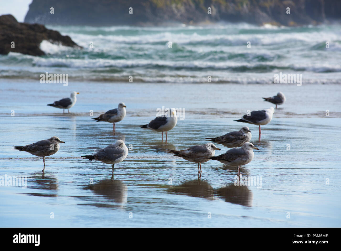 Loose formation hi-res stock photography and images - Alamy