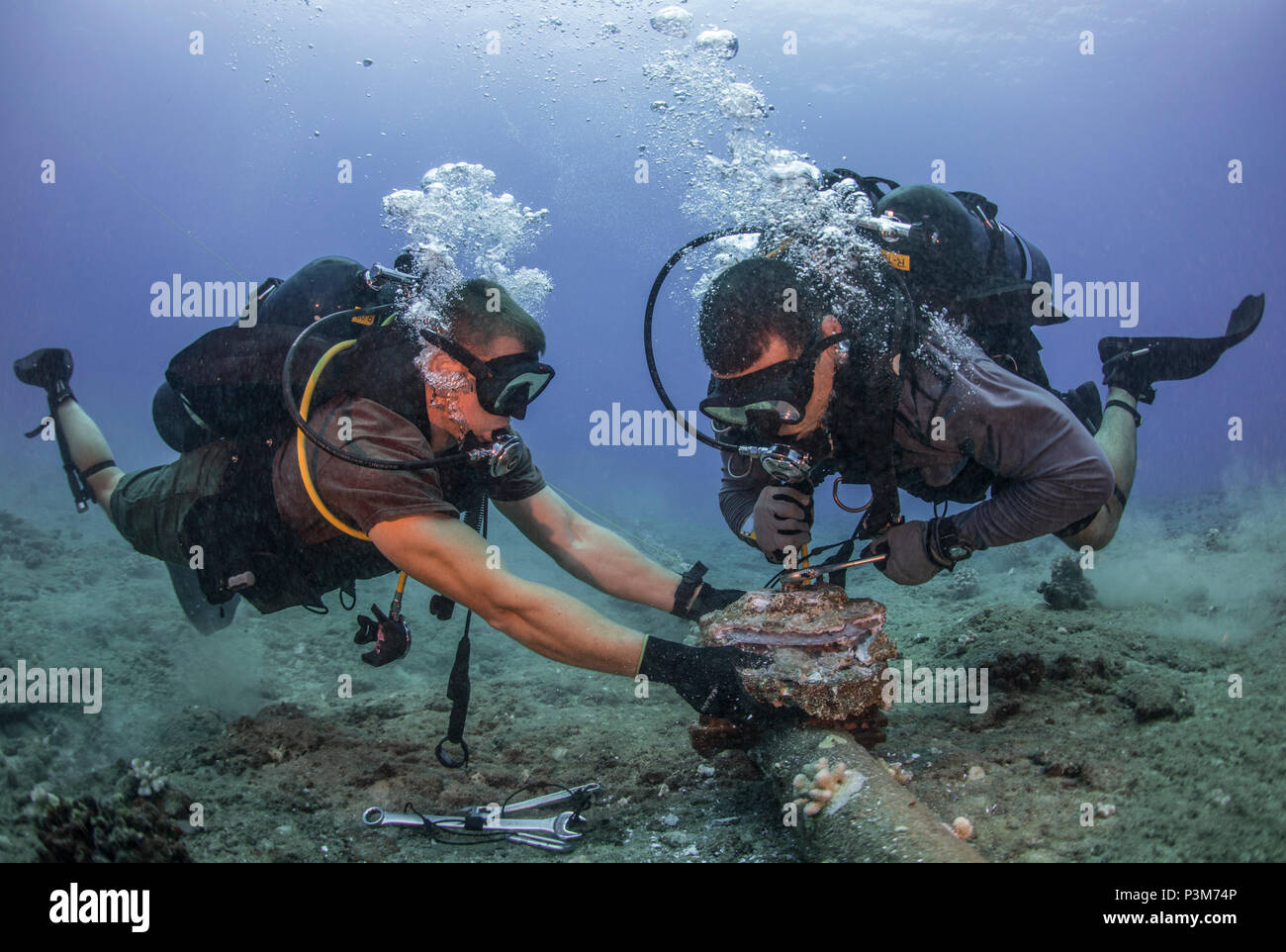 Under sea cable diver hi-res stock photography and images - Alamy