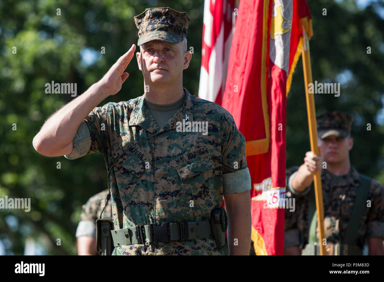 U.S. Marine Corps Col. Robert C. Fulford, the outgoing commanding ...