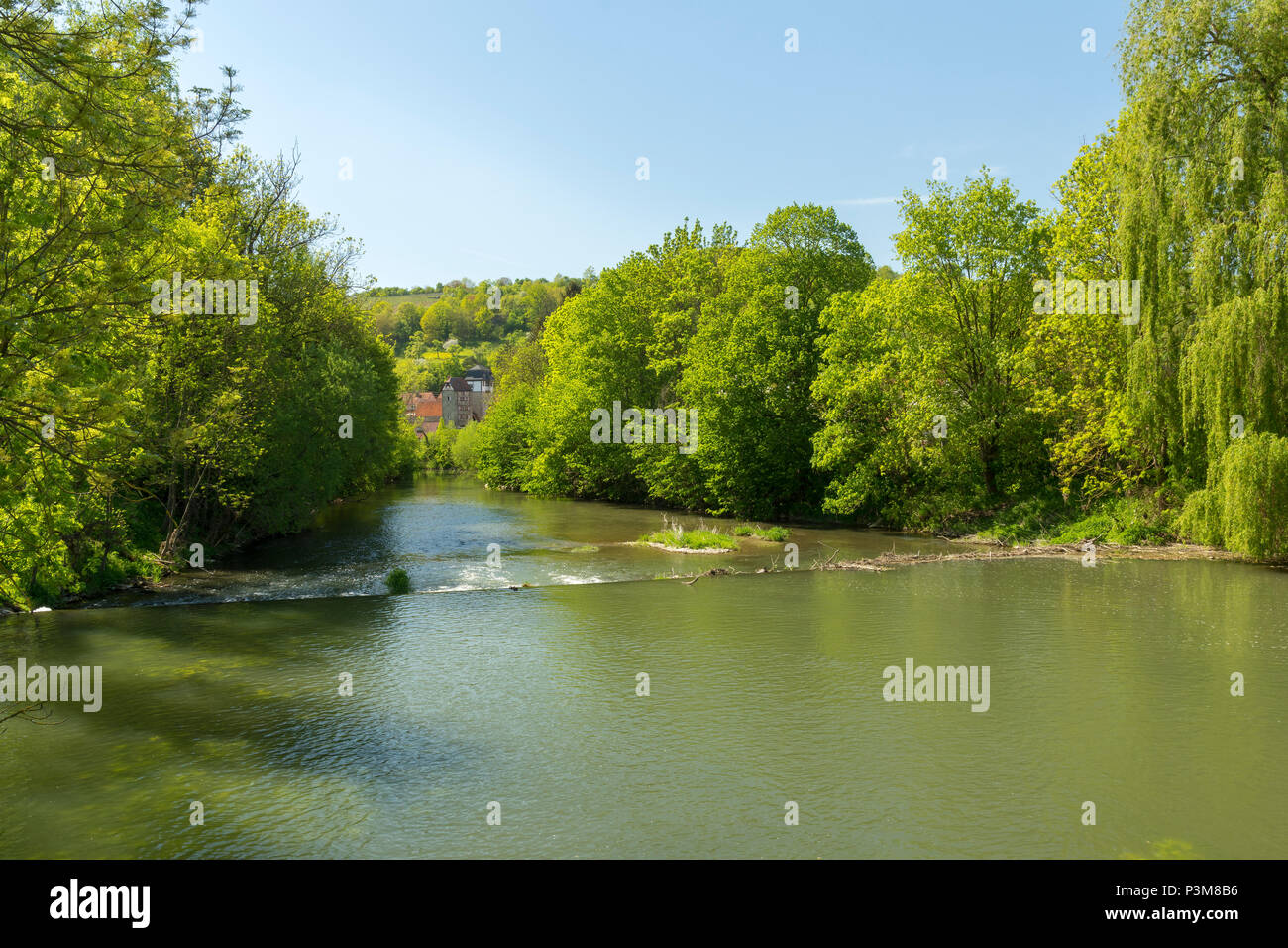 Green water due to pollen in a river in spring time with deciduous ...