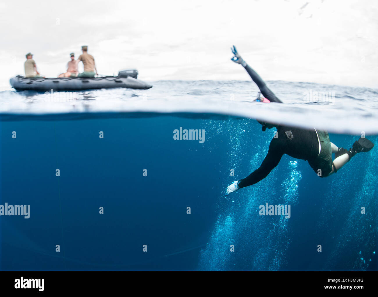 Steel Worker 1st Class David Miller, with Underwater Construction Team ...