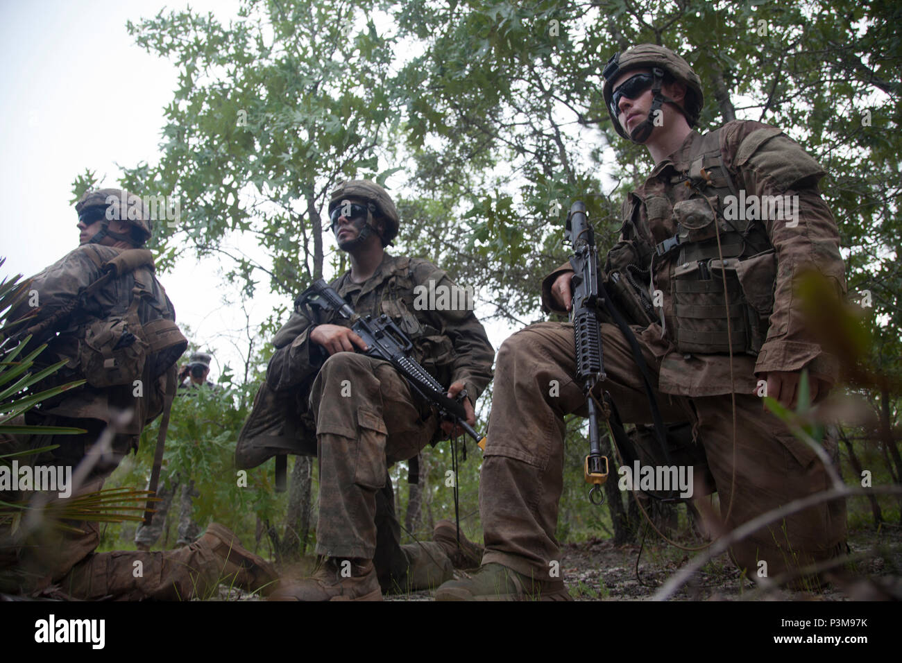A group of U.S. Army Ranger students, assigned to the Airborne and ...
