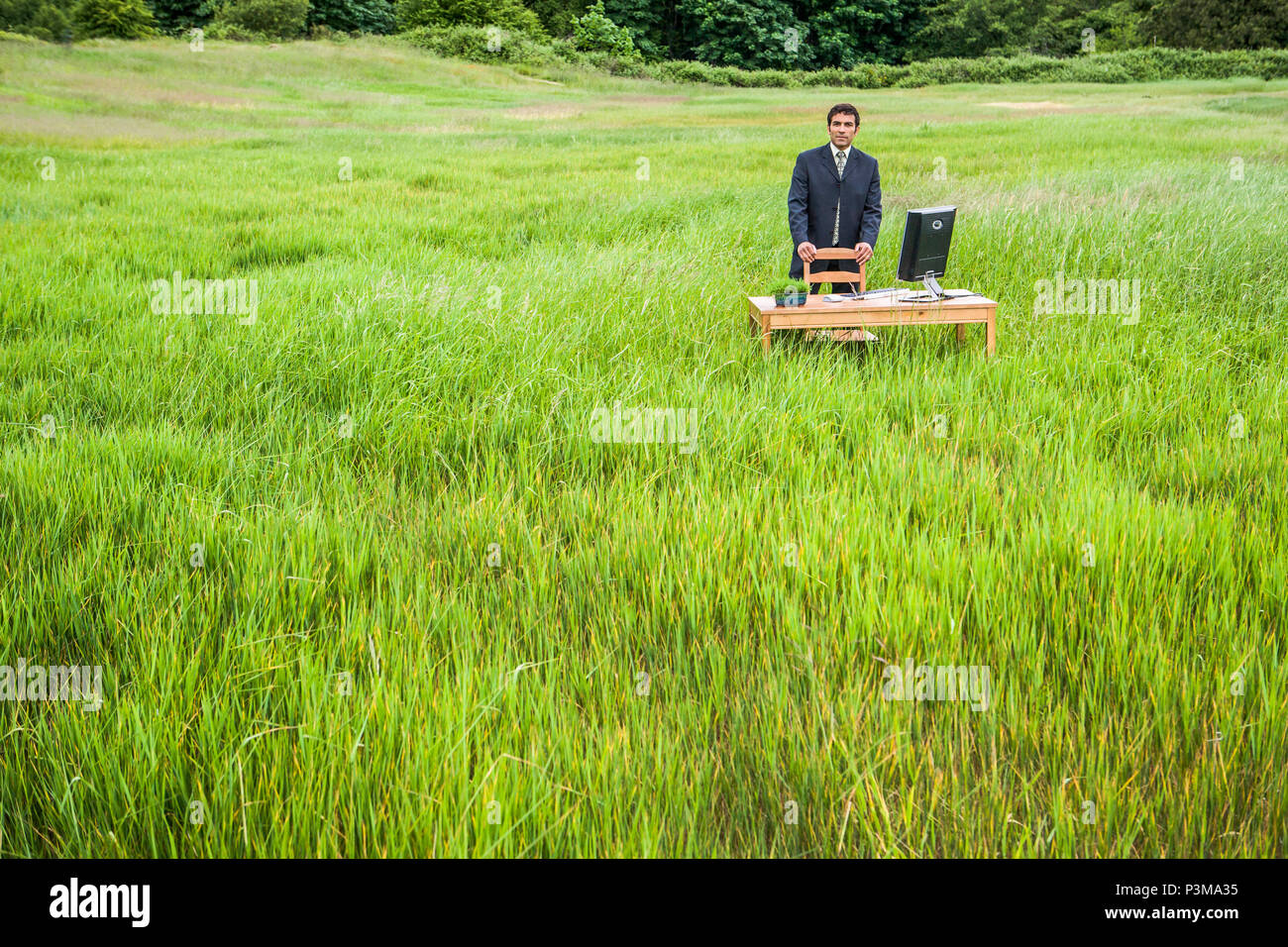 A businessman walking across a field of green grass towards a desk with ...