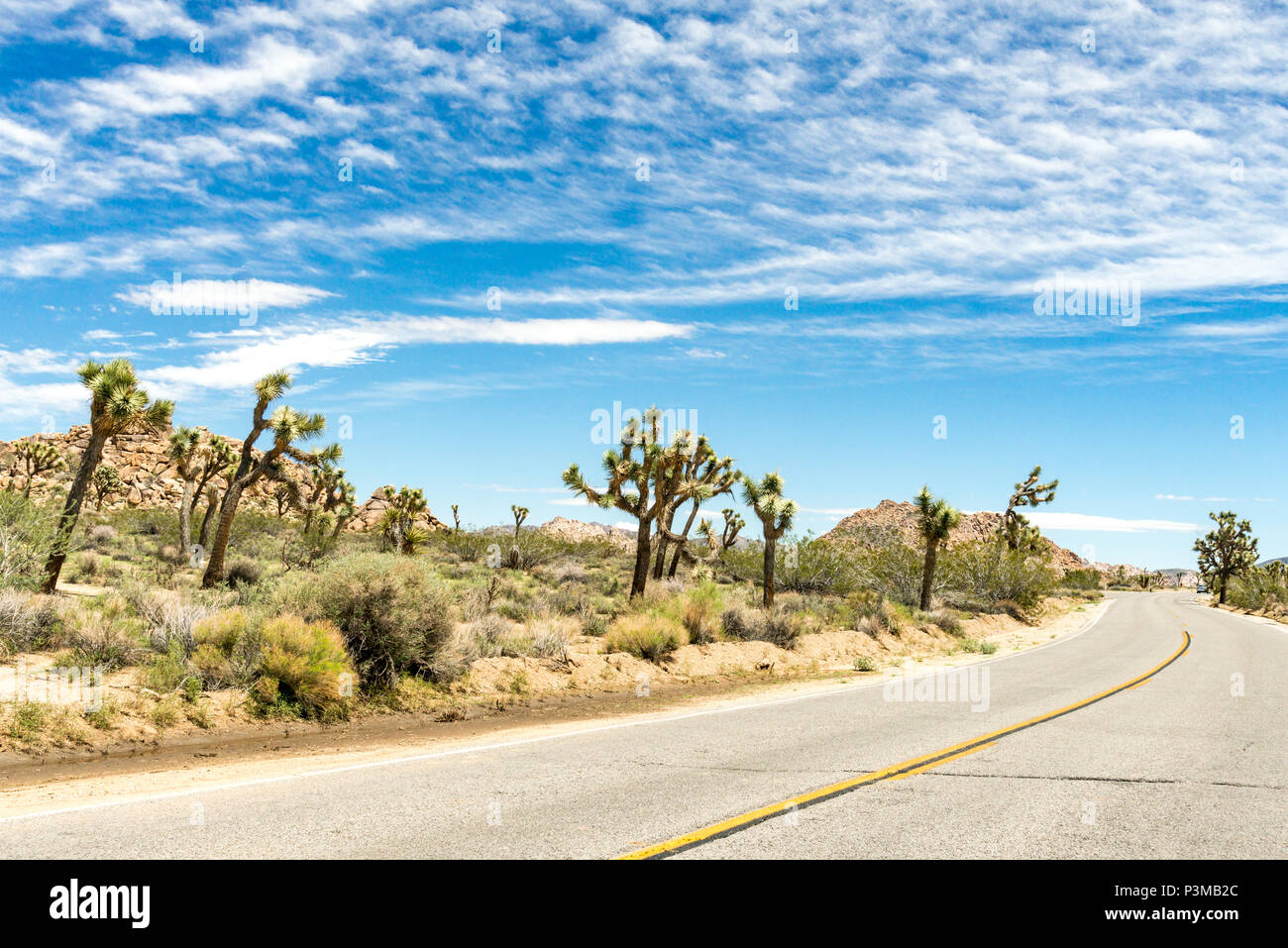 Joshua Tree National Park under blue and cirrus skies Stock Photo - Alamy
