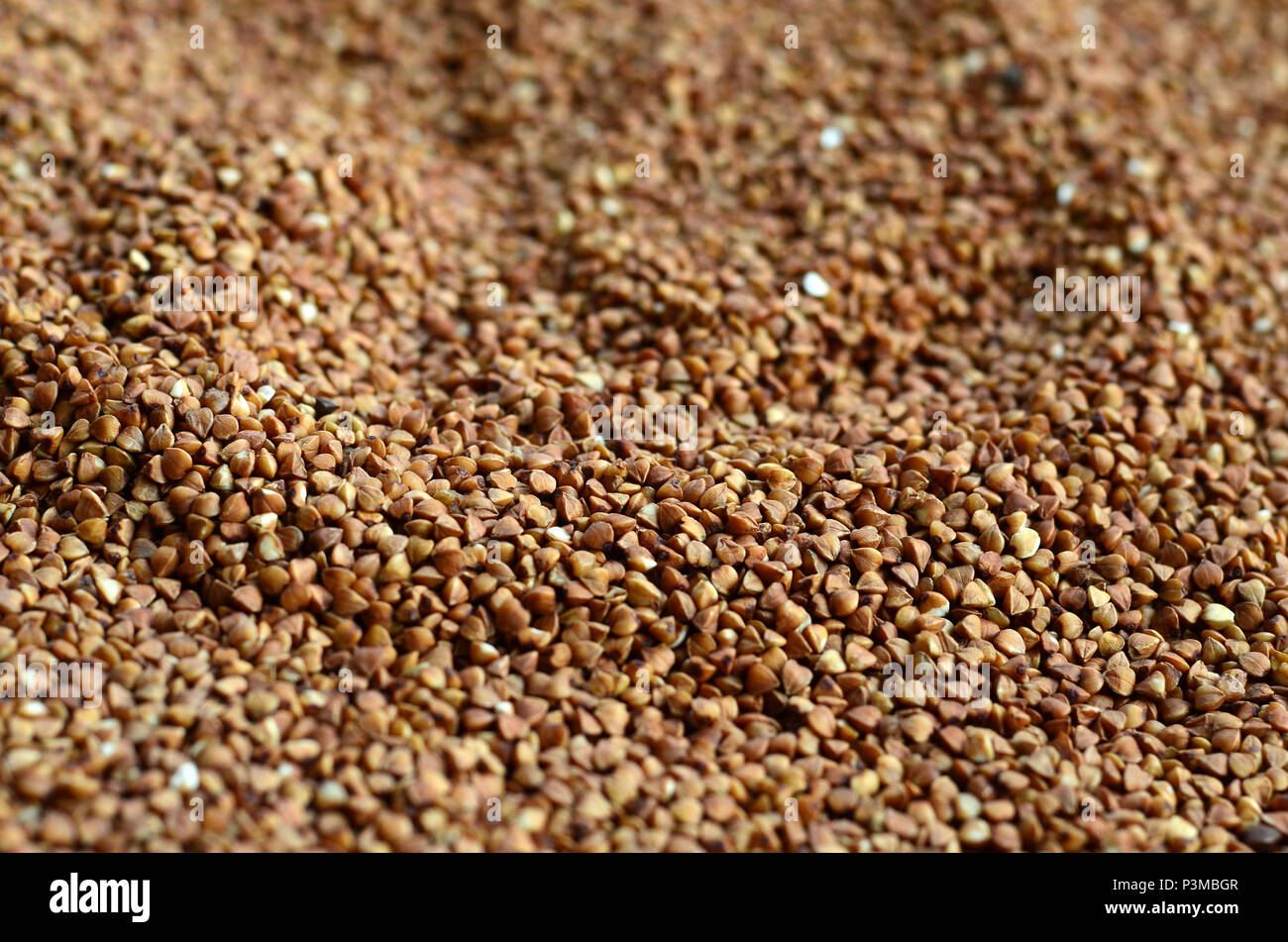 Background texture of a large pile of buckwheat. Many buckwheat grains ...