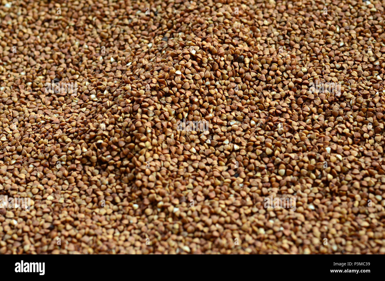 Background texture of a large pile of buckwheat. Many buckwheat grains ...