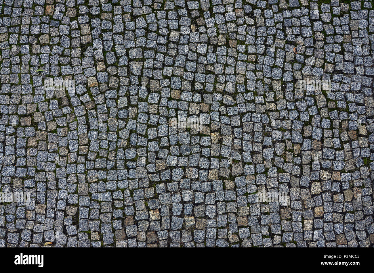 Photo of a platform made of paving stones of a square shape. Top view ...