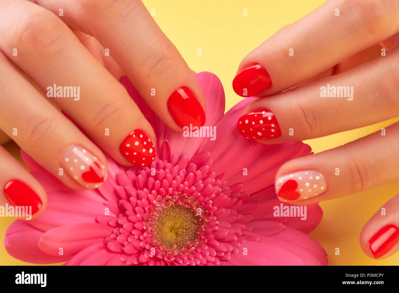 Female manicured hands and gerbera Stock Photo - Alamy