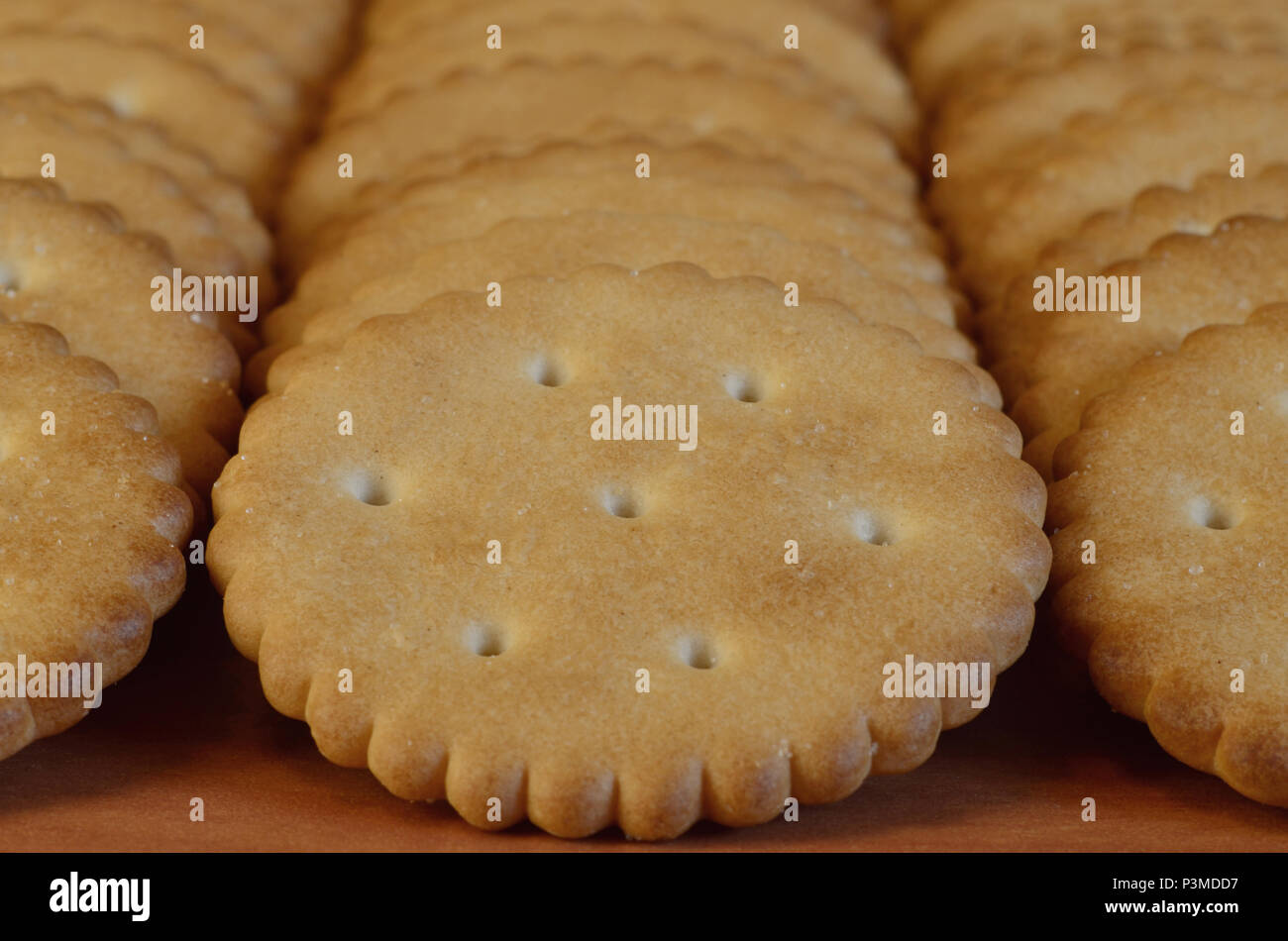 Closeup of salted crackers. Background image of classic salty cracker ...
