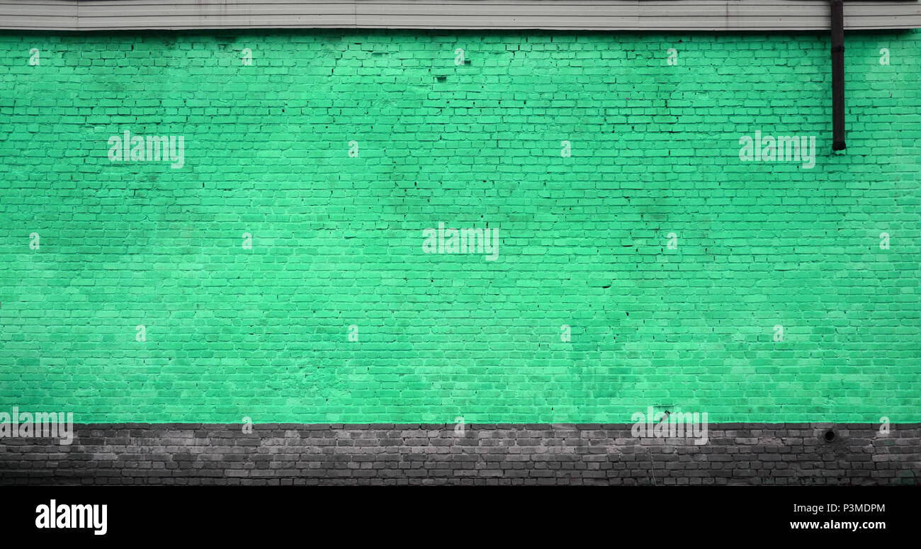 The texture of the brick wall of many rows of bricks painted in green ...
