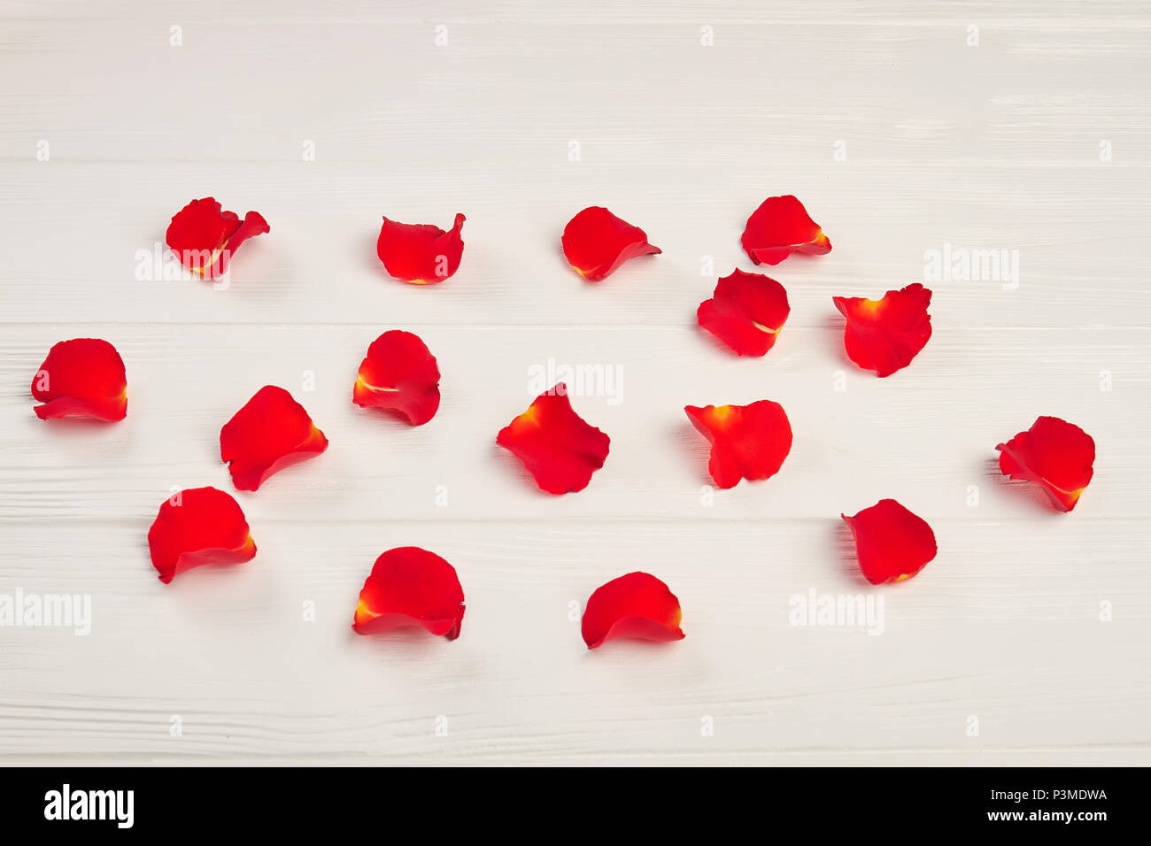 Red rose petals on white background Stock Photo - Alamy