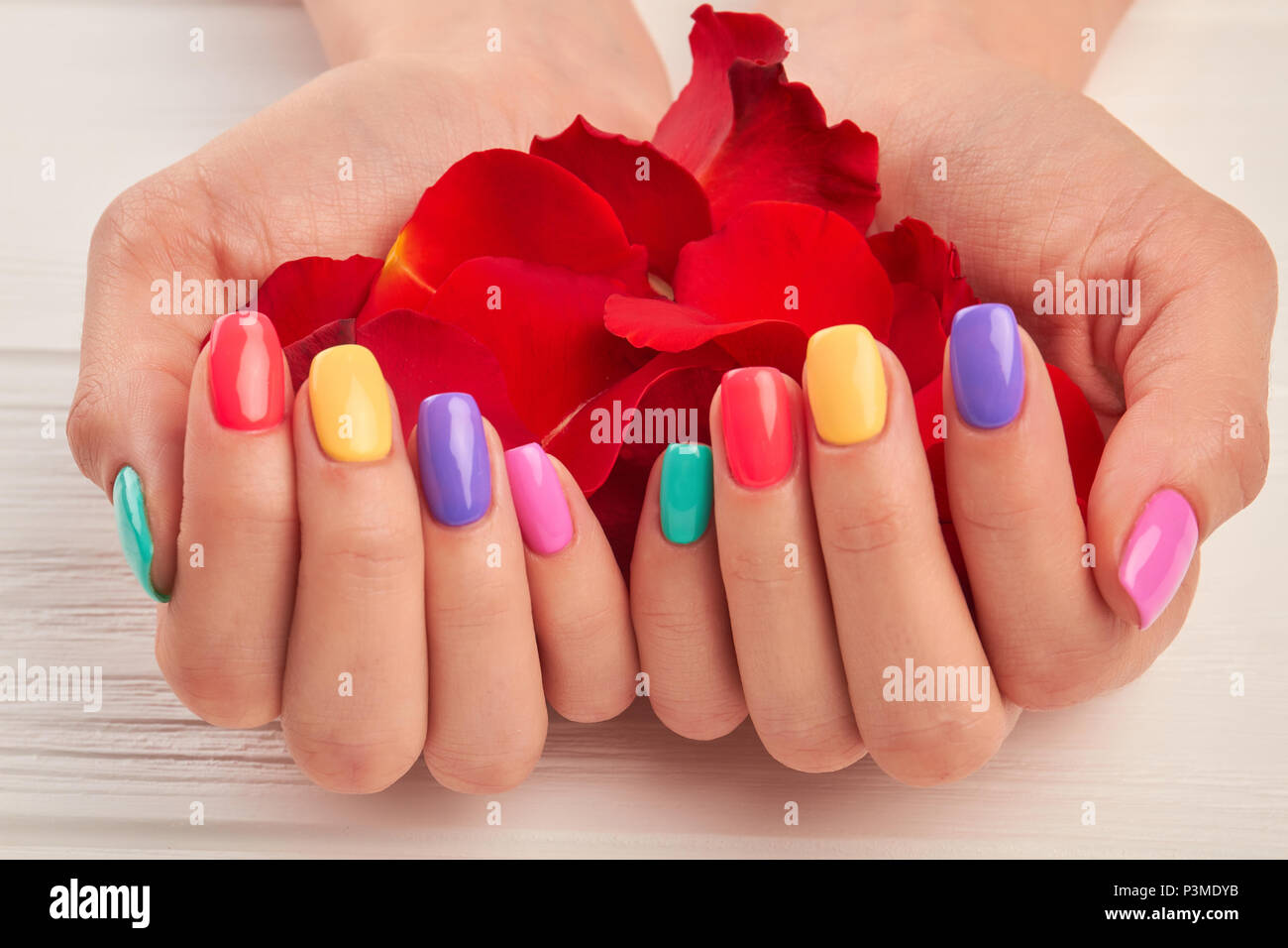 Rose petals in female manicured hands Stock Photo - Alamy