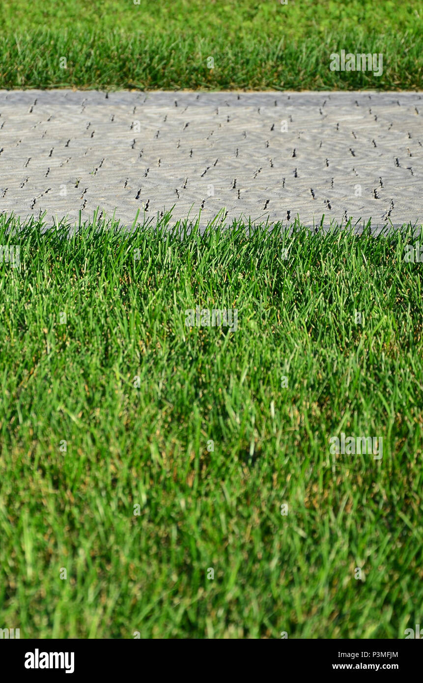 A beautiful new walkway made of paving stone is located among the green ...