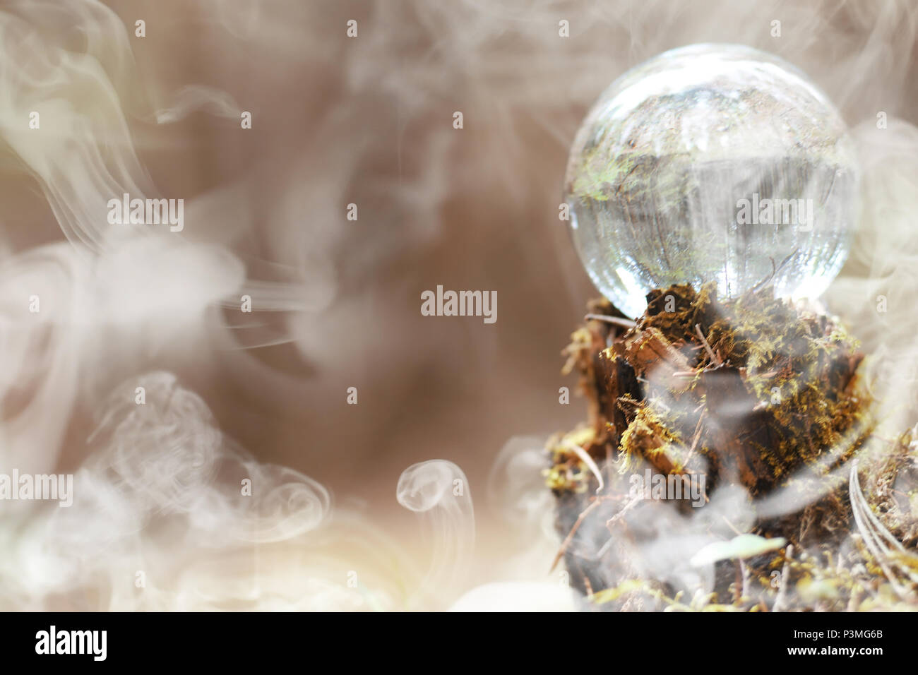 Sorcerers tree hi-res stock photography and images - Alamy