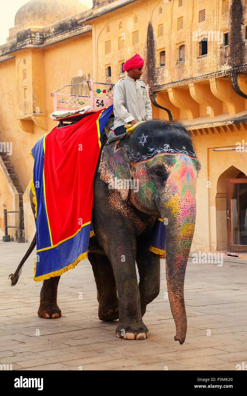 Decorated elephant walking in Jaleb Chowk (main courtyard) in Amber ...