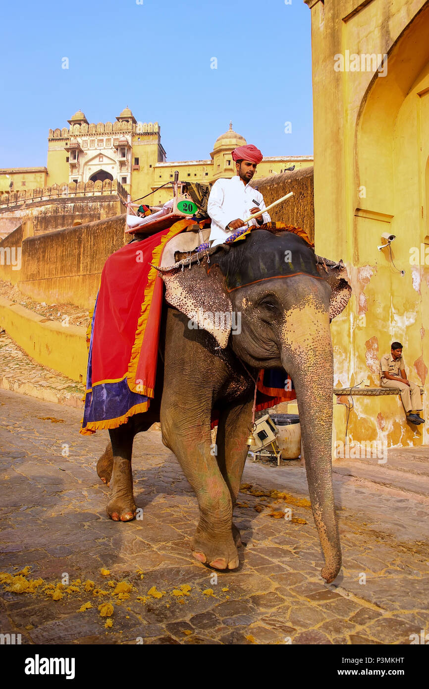 Decorated elephant going on the cobblestone path from Amber Fort near ...