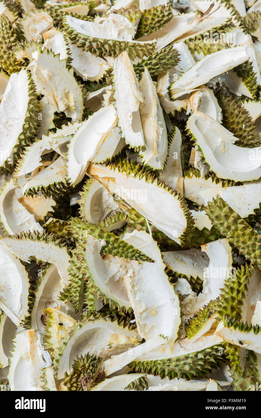 Durian peel Prepare to make fertilizer Stock Photo - Alamy
