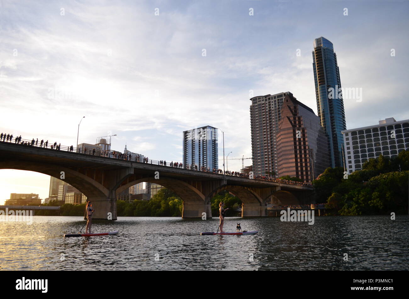 Two girls paddle boarding in the evening to watch the the Congress Ave ...