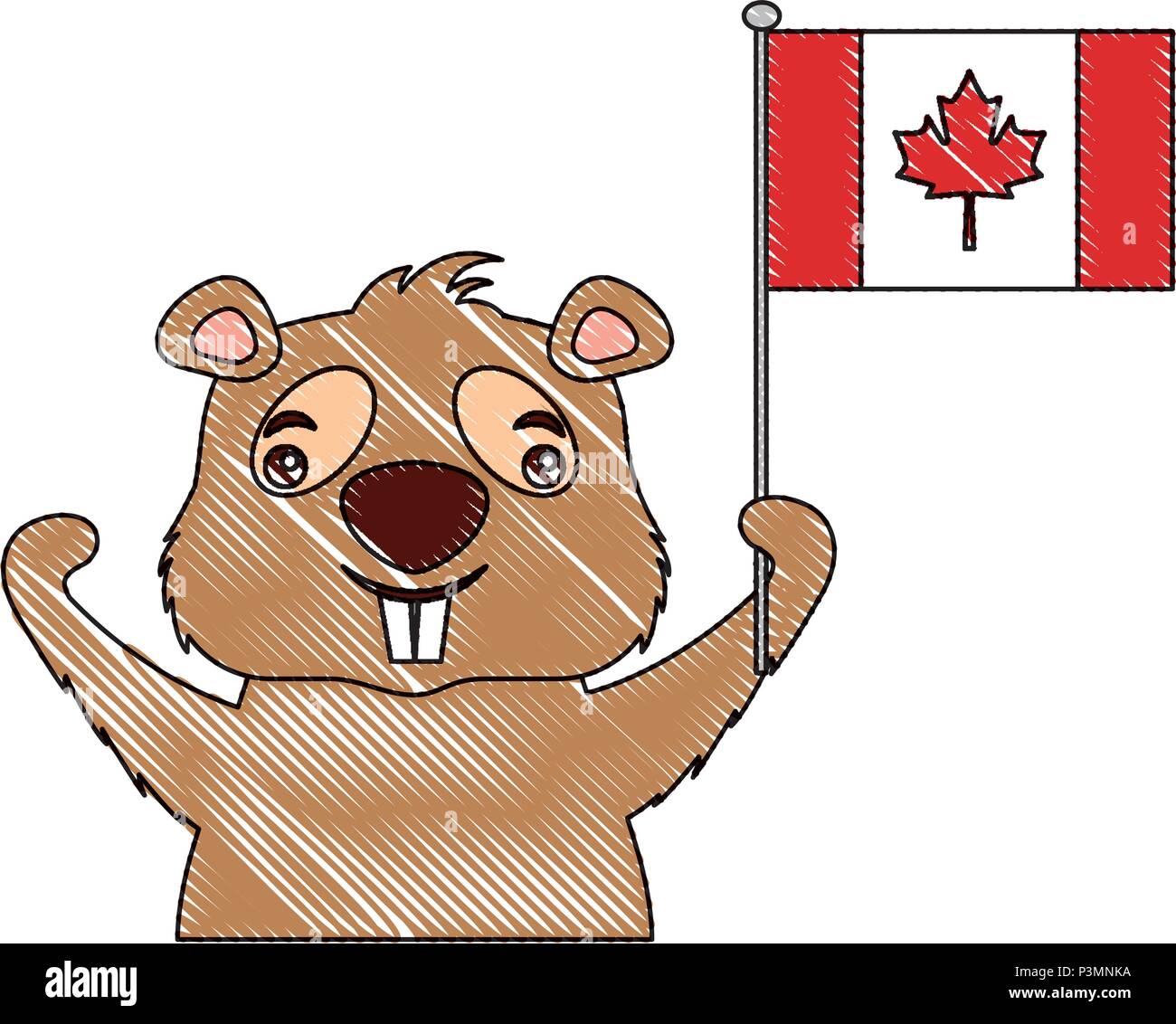 Species of maple Stock Vector Images - Alamy