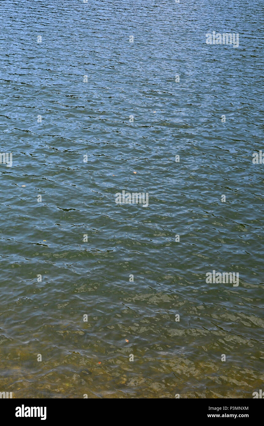 Texture of contaminated river water. The consequences of pollution ...