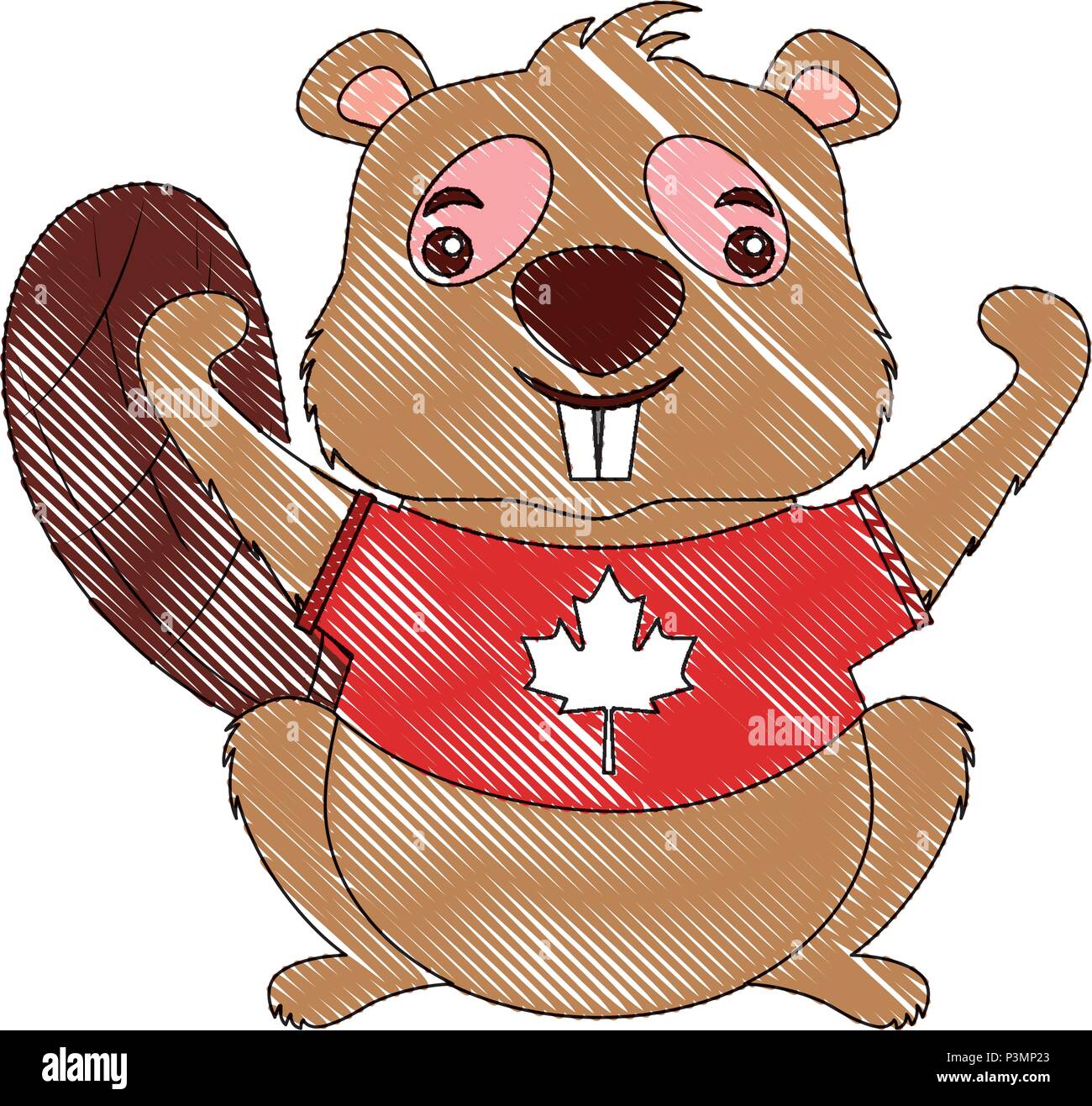 Species of maple Stock Vector Images - Alamy