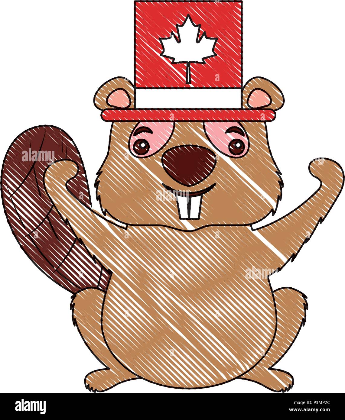 Species of maple Stock Vector Images - Alamy