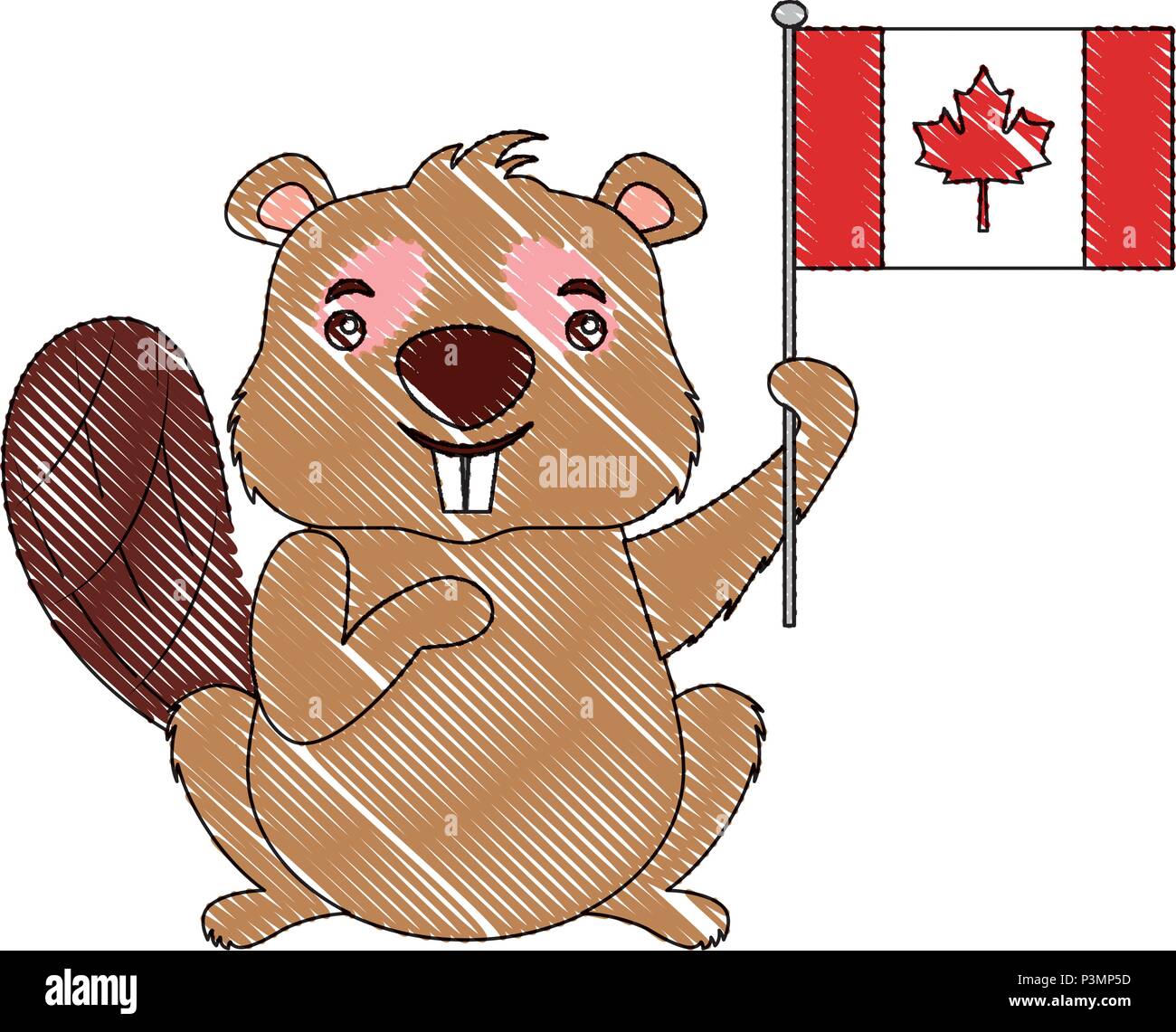 Species of maple Stock Vector Images - Alamy