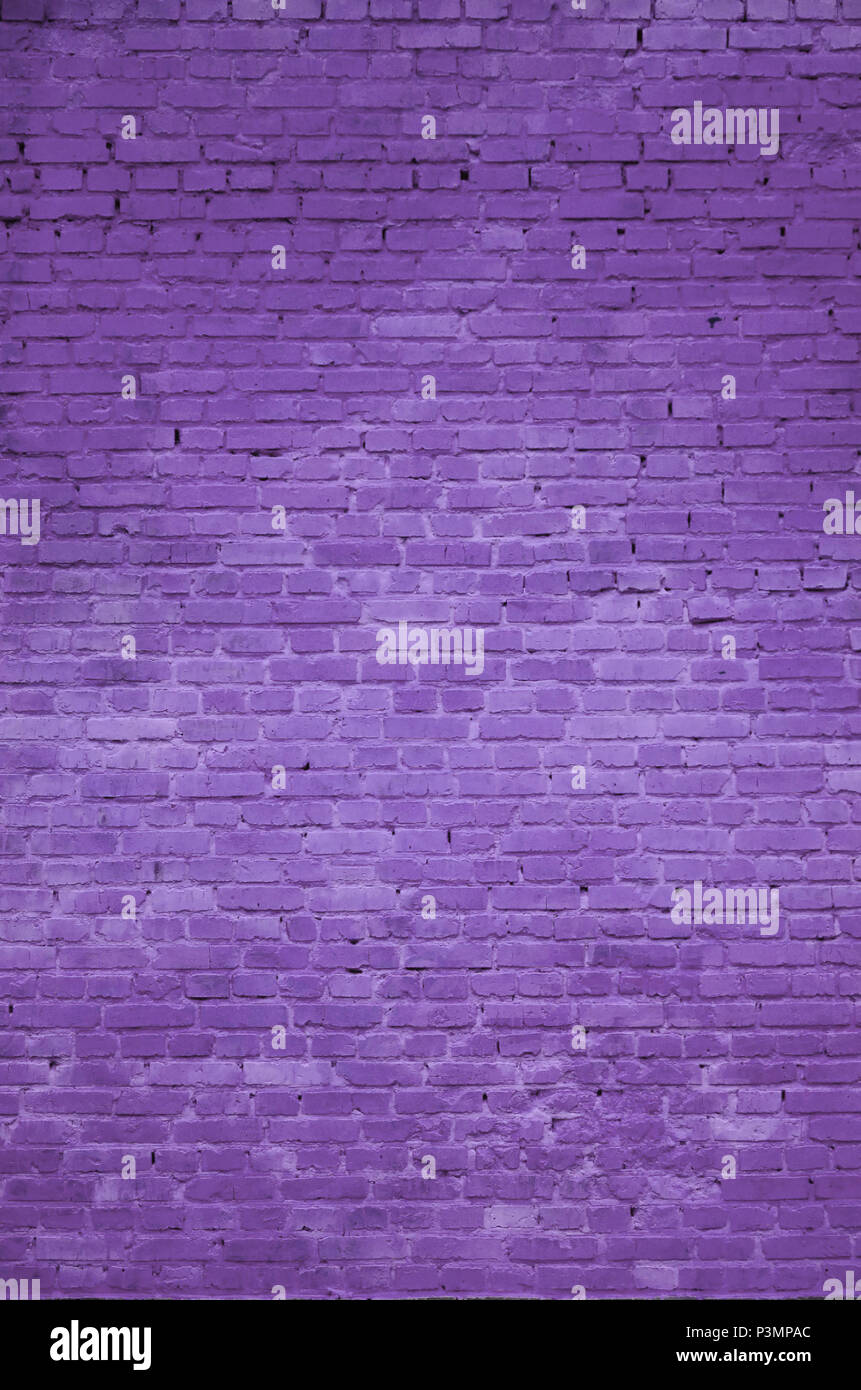 The texture of the brick wall of many rows of bricks painted in violet ...