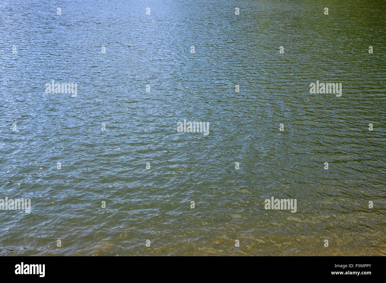 Texture of contaminated river water. The consequences of pollution ...
