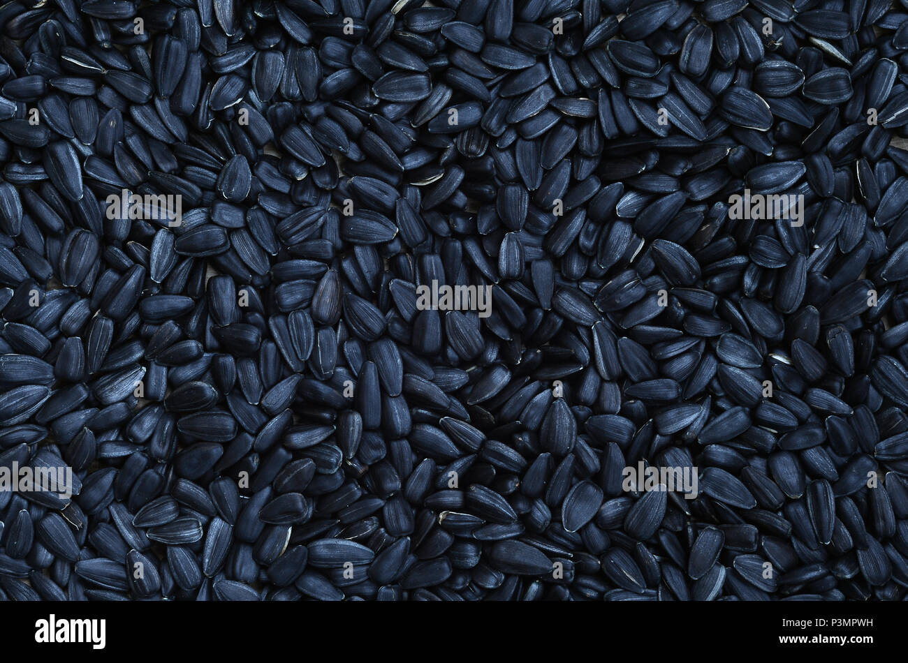A pattern of many unprocessed fried sunflower seeds in a black shell ...