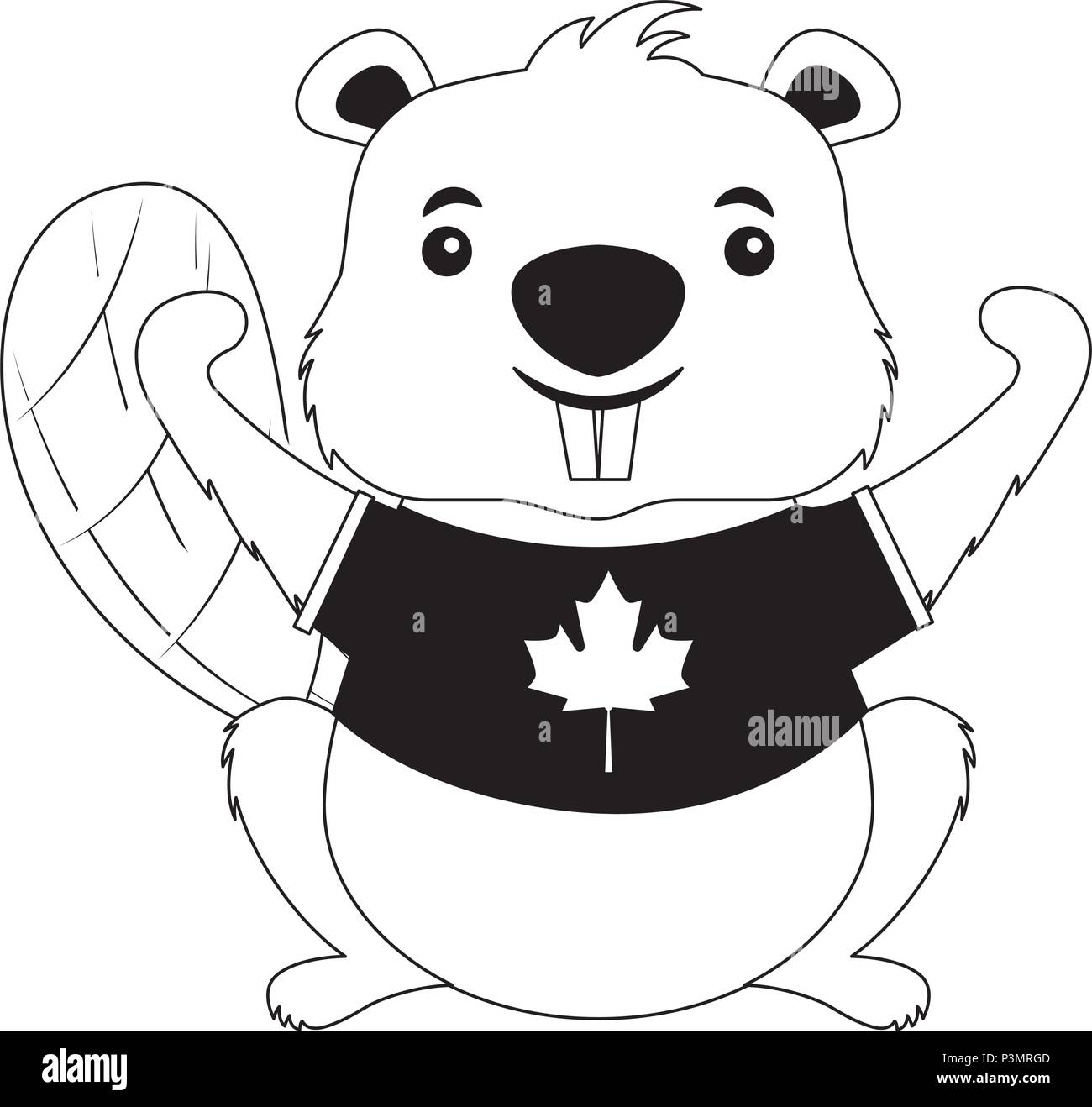 Species of maple Stock Vector Images - Alamy