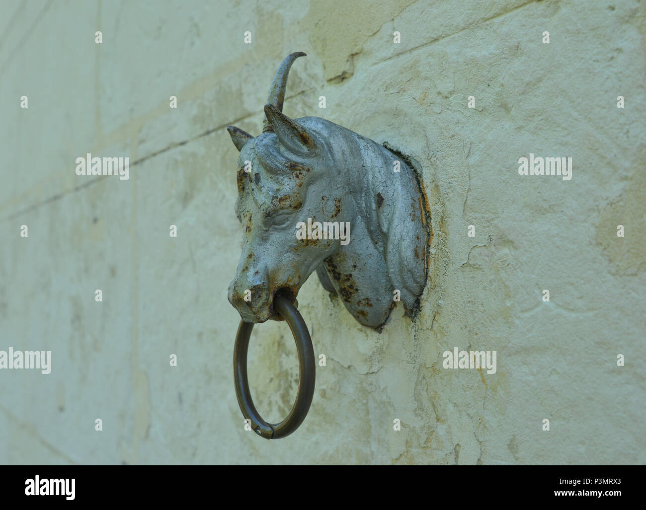Old rusty head horse hi-res stock photography and images - Alamy
