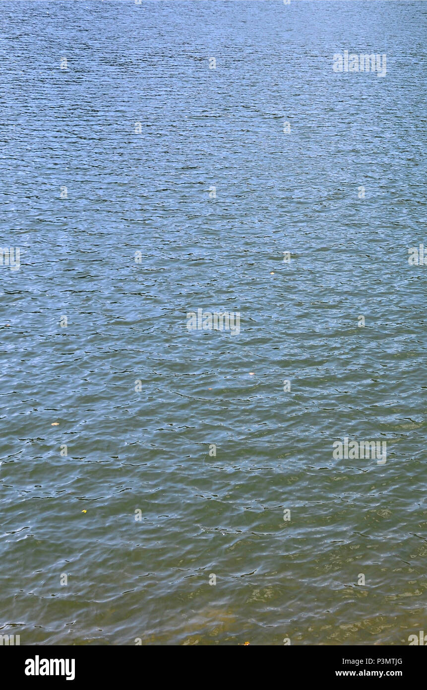 Texture of contaminated river water. The consequences of pollution ...