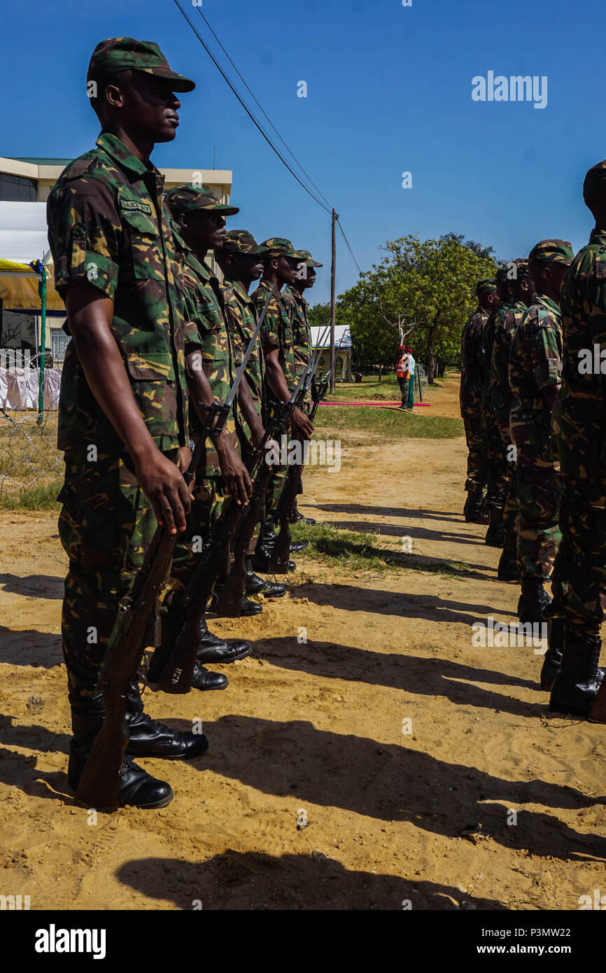Tanzanian People’s Defense Force Soldiers present honors to arriving ...