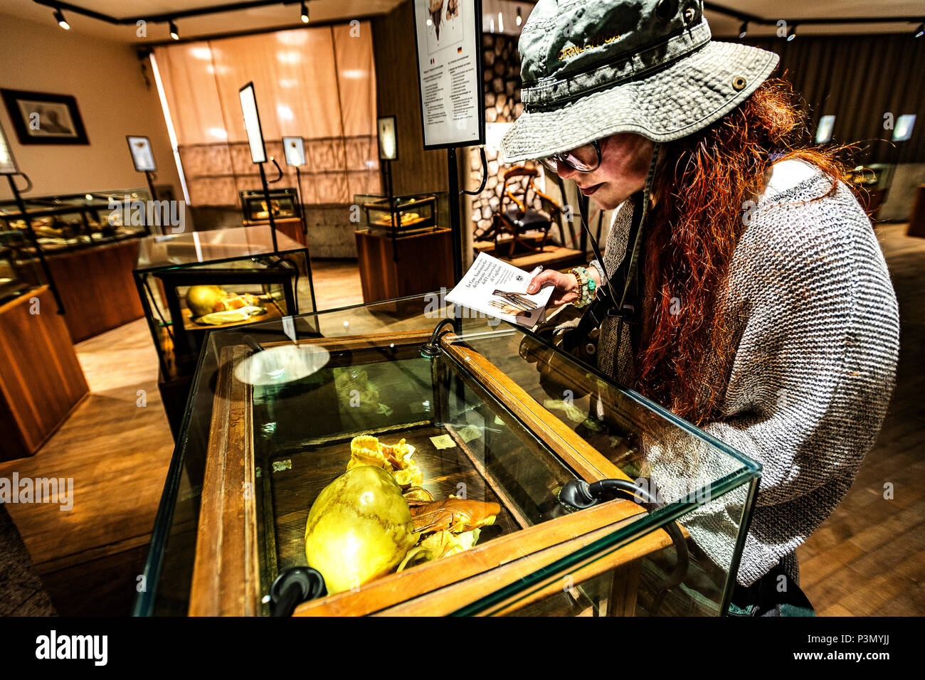 Italy Sardinia Cagliari Collection of Anatomical Waxes by Clemente ...