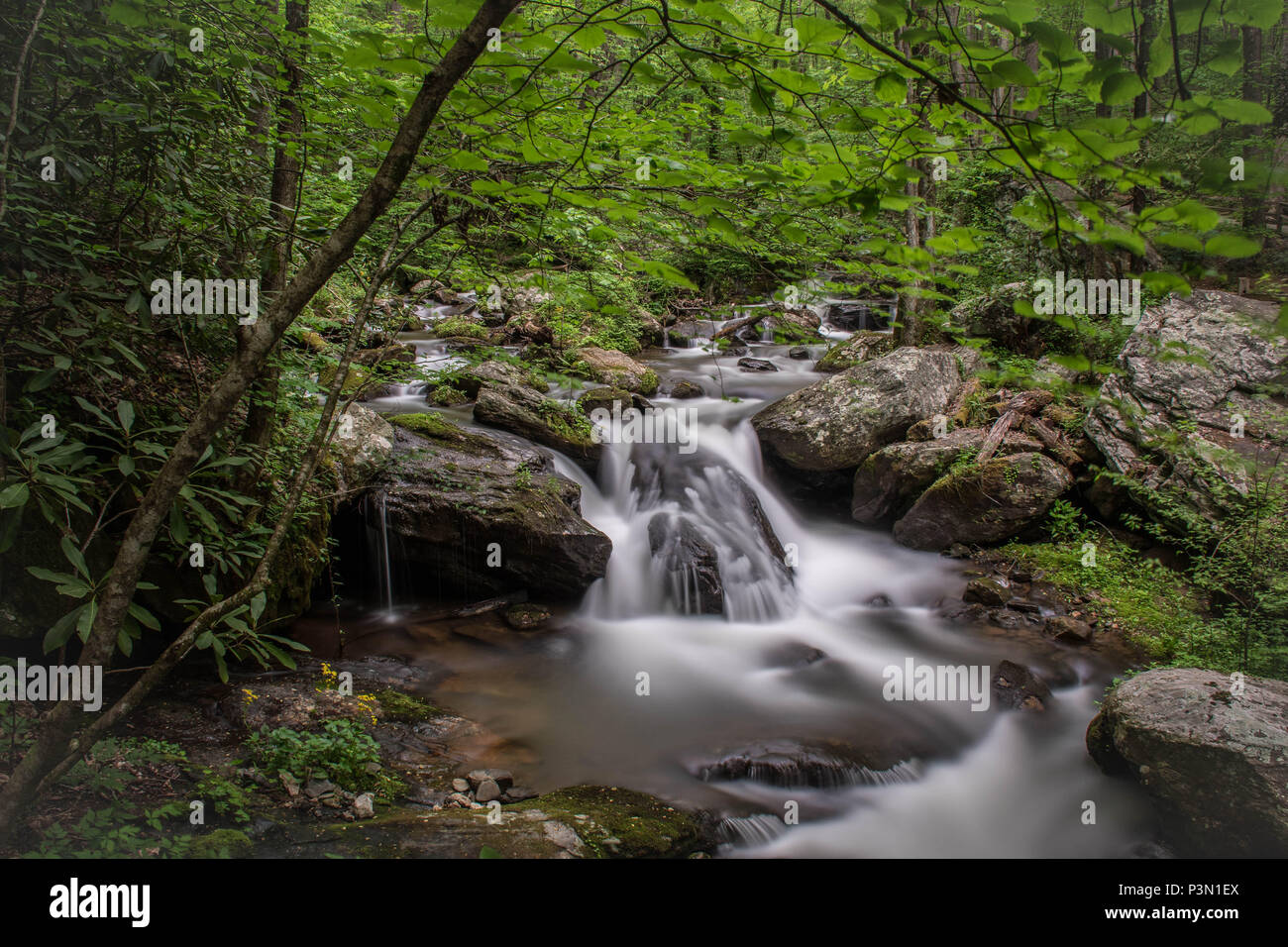 The lower level of Anna Ruby Falls, White County, Georgia Stock Photo ...