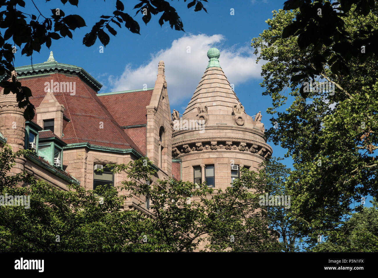 American Museum of Natural History, NYC, USA Stock Photo - Alamy
