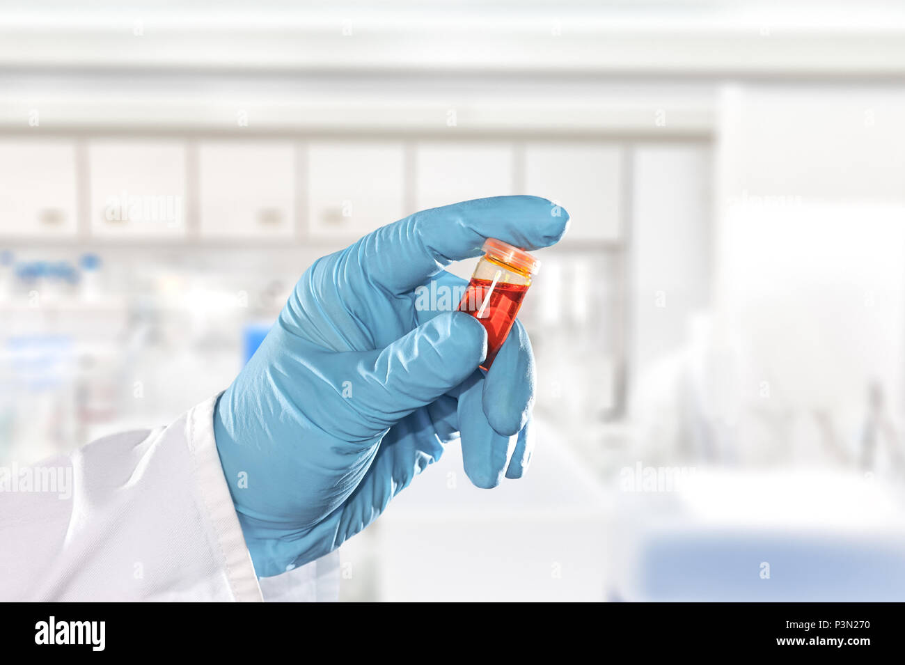 Gloved hand holds red liquid sample in plastic tube. Laboratory ...