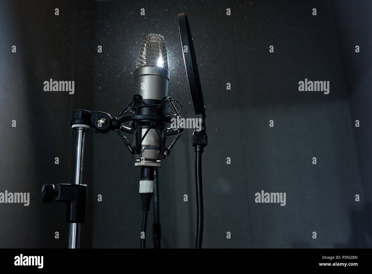 Professional microphone sound recording hi-res stock photography and ...