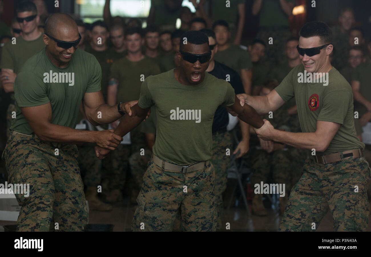 Tazed hi-res stock photography and images - Alamy
