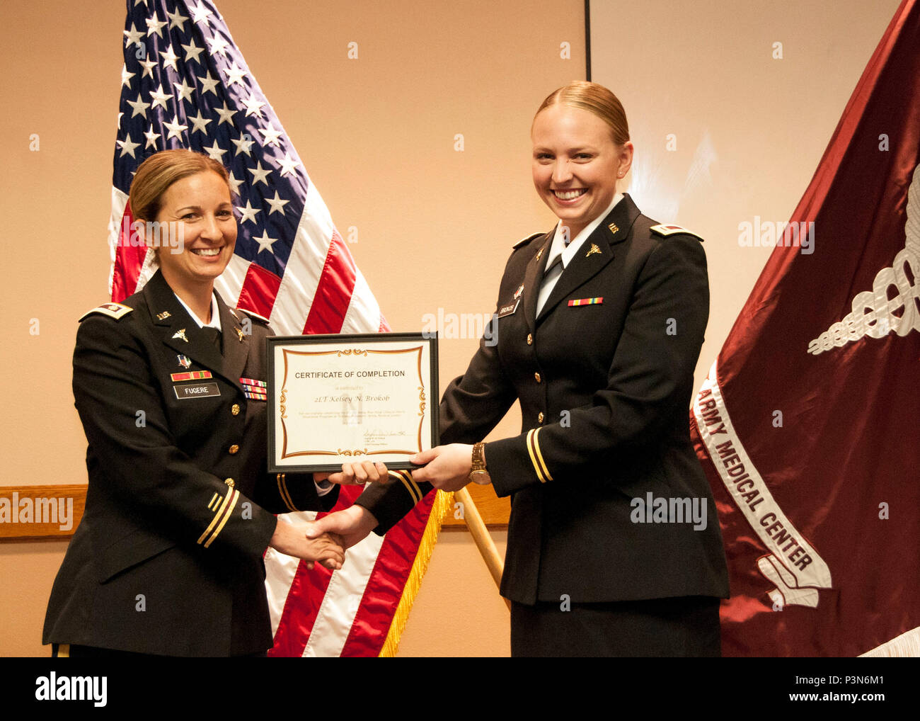 Brig gen anna mae hays clinical nurses transition program cntp hi-res ...