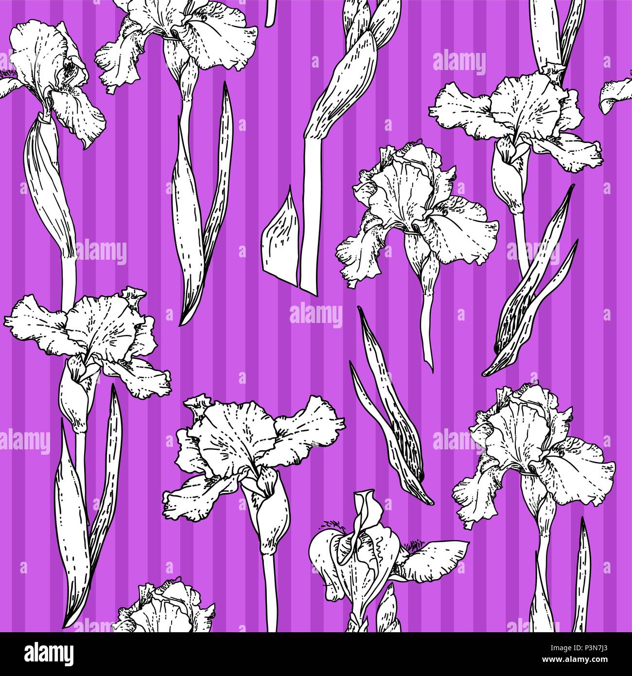Iris in spring garden Stock Vector Images - Alamy