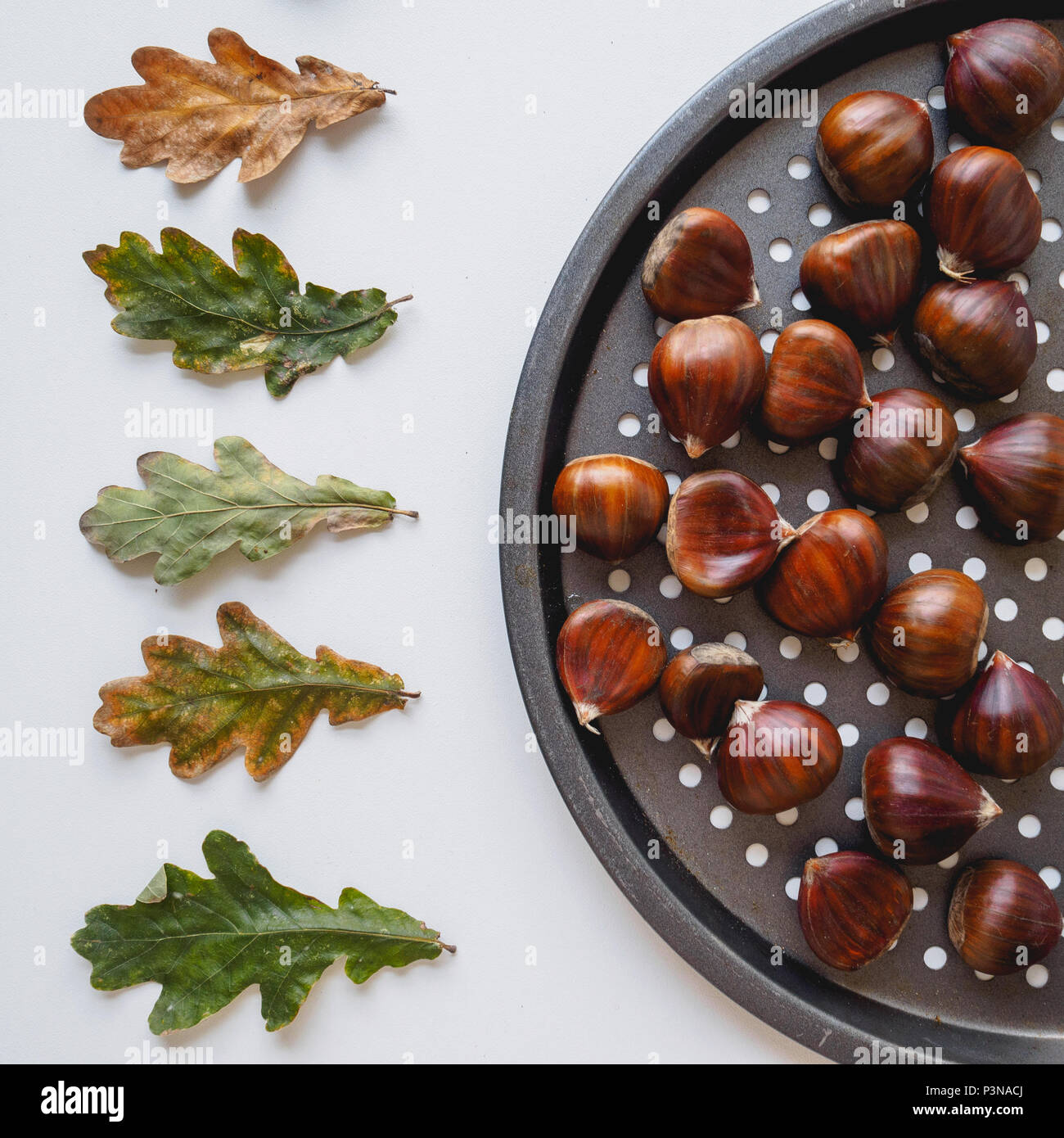 Top view of raw chestnuts with green and orange leaves on the side on a ...
