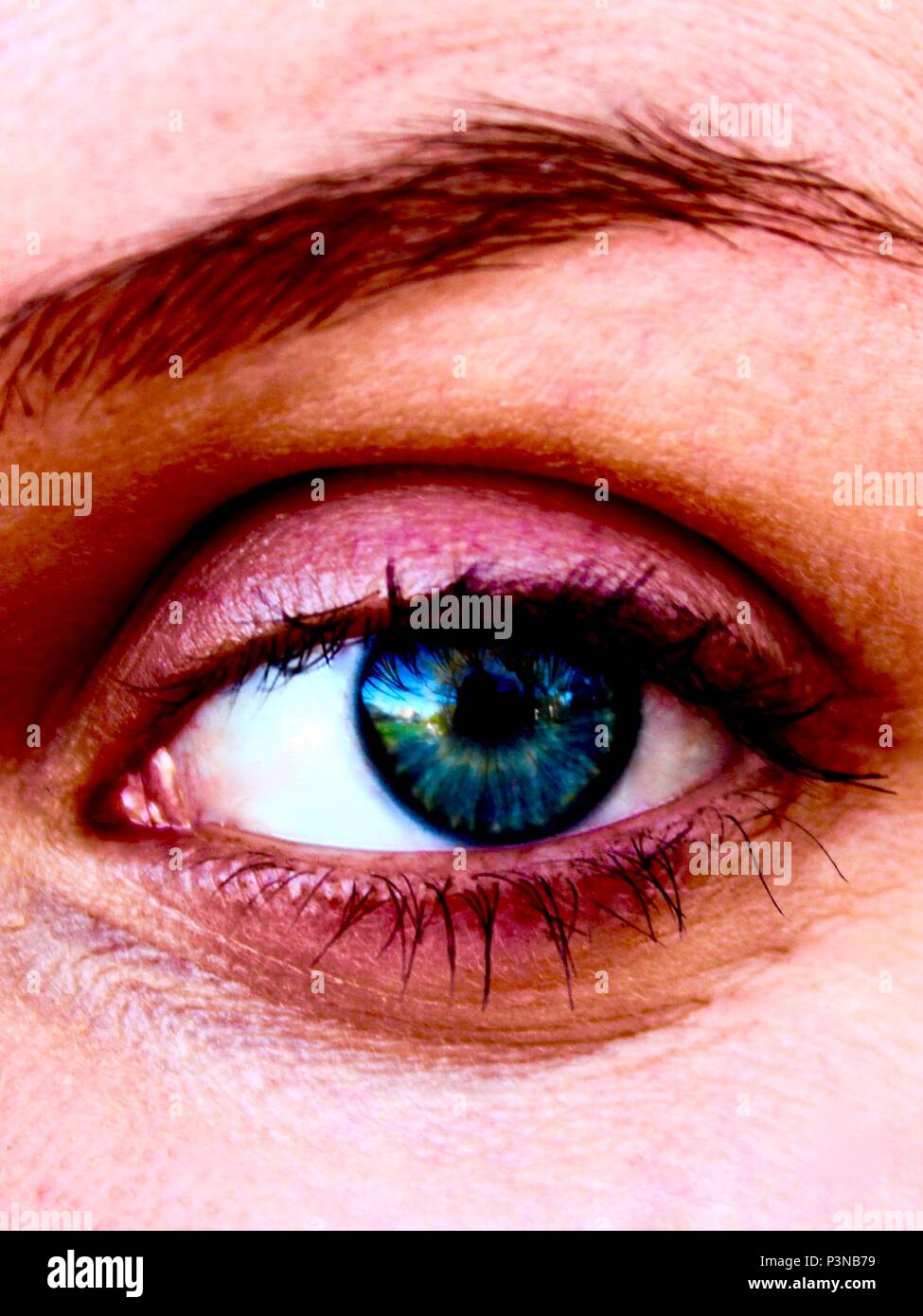 White eyebrow hi-res stock photography and images - Alamy