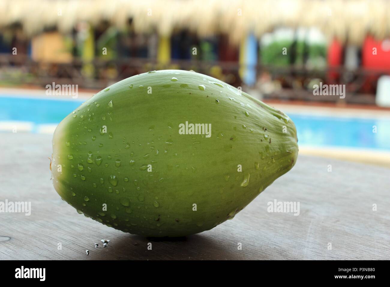 Coconut on a Table Stock Photo - Alamy