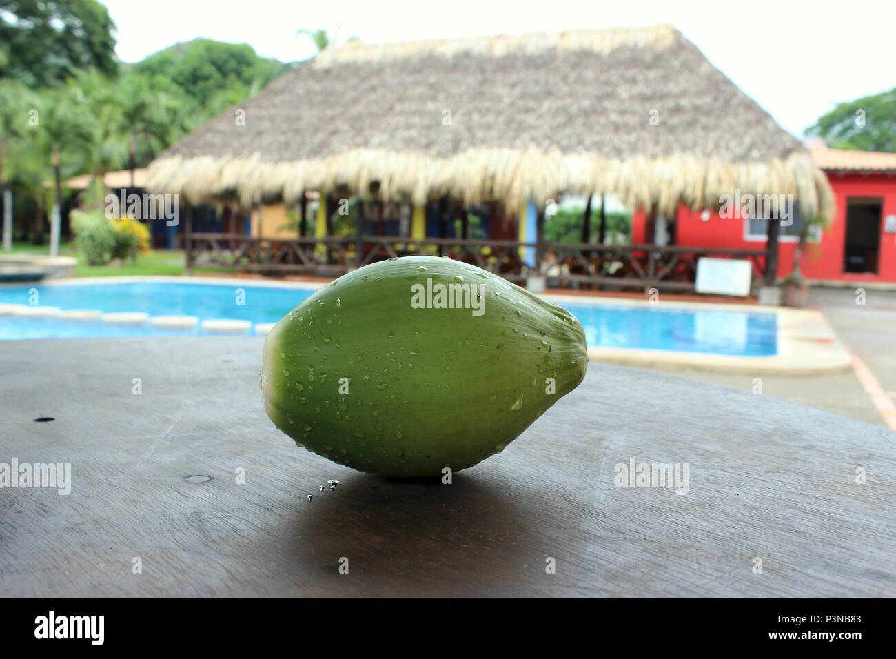 Coconut hut hi-res stock photography and images - Alamy