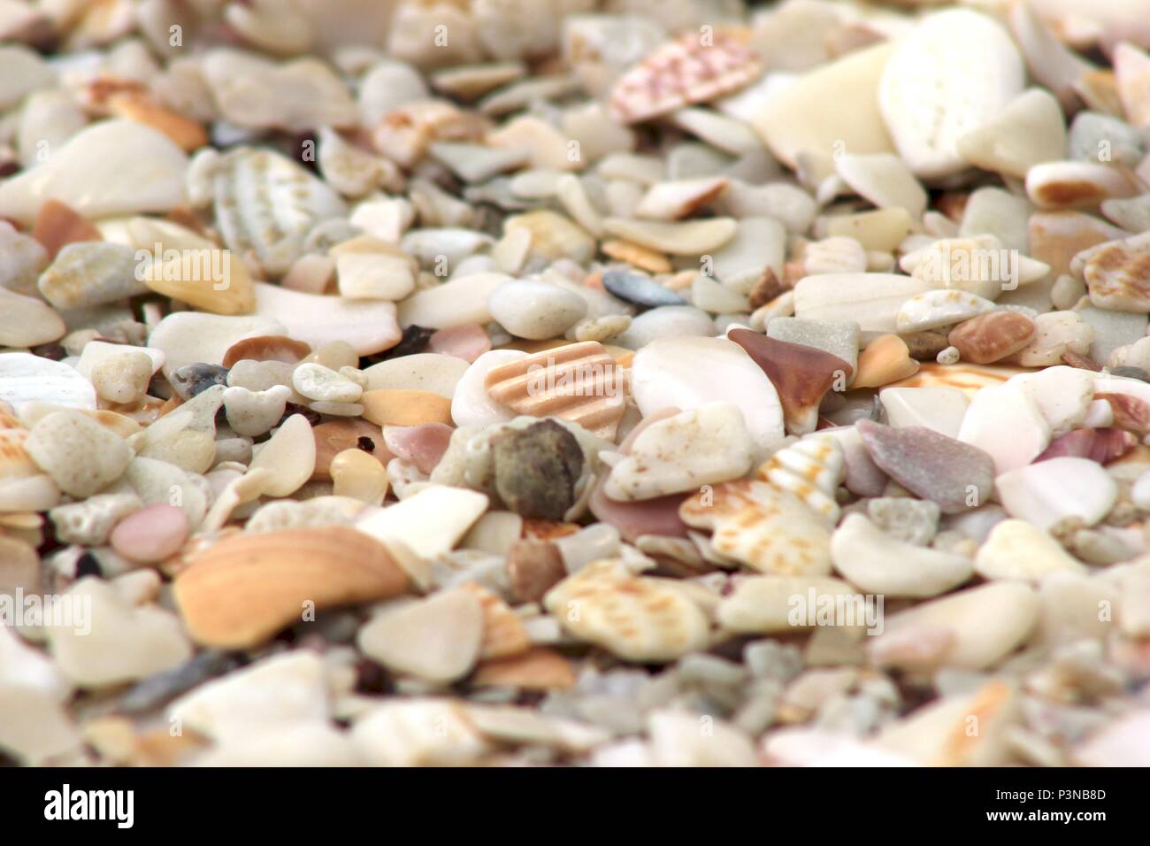 Seashell colors hi-res stock photography and images - Alamy